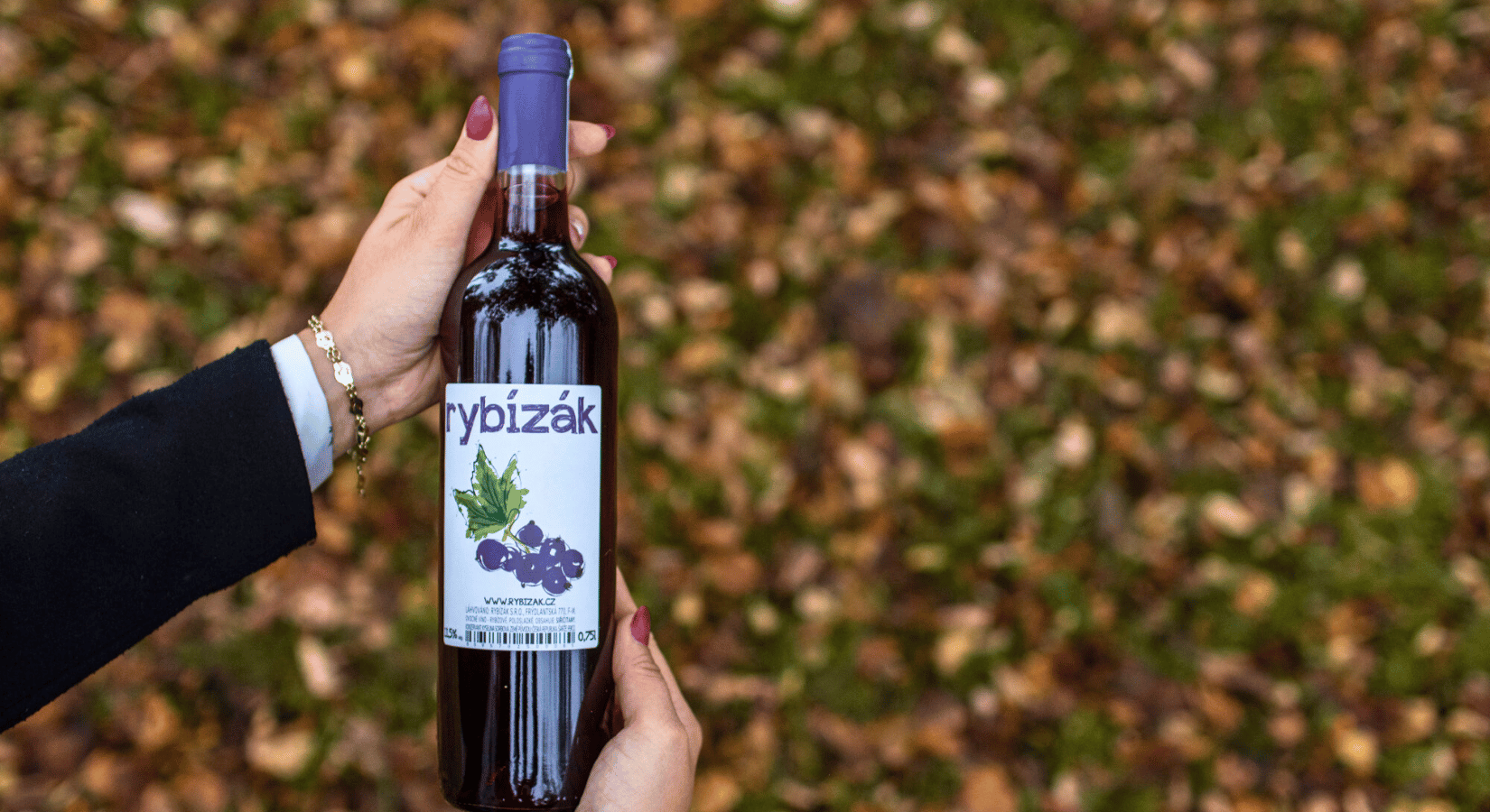 Rybízové víno: Recept pro domácí výrobu